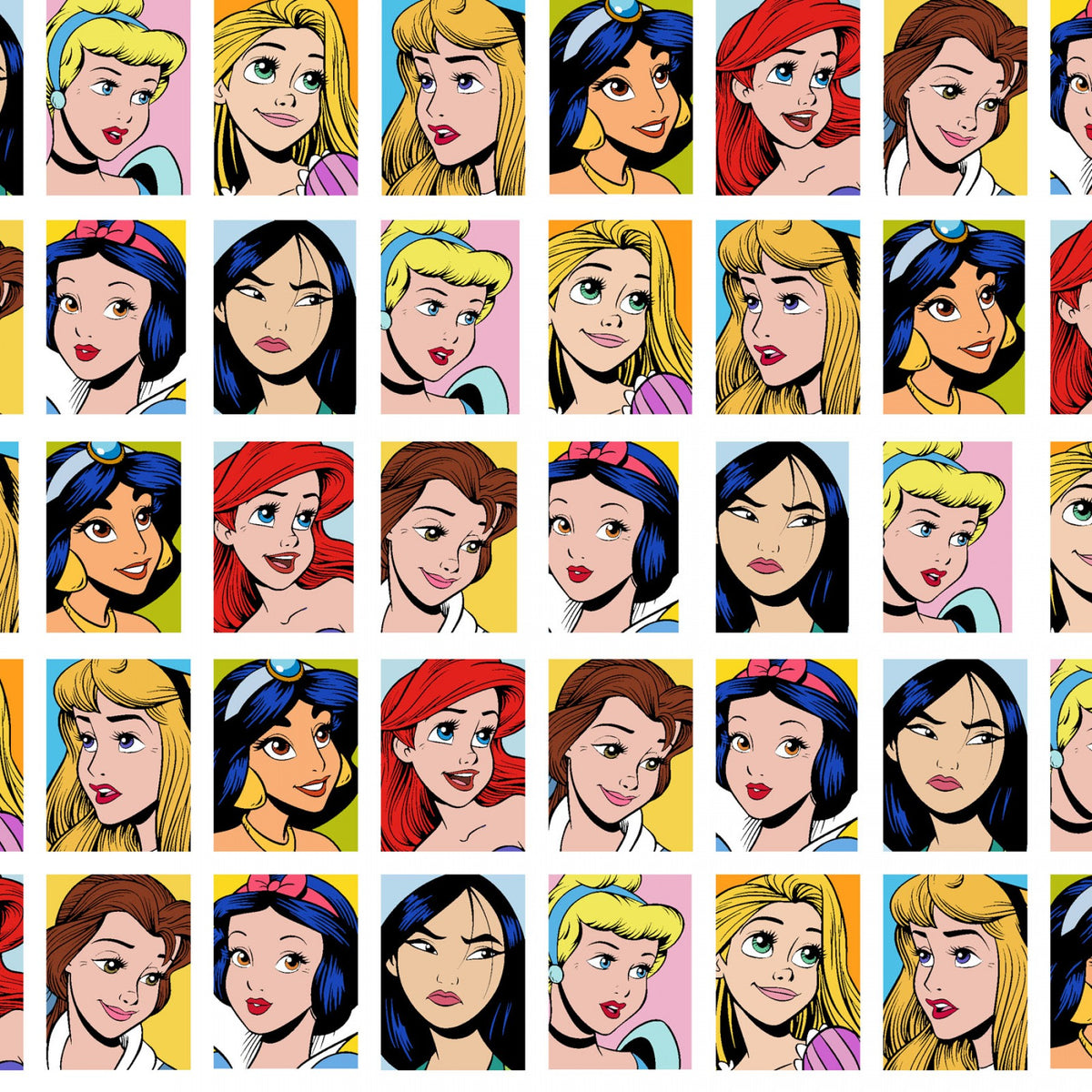 LC2212 Disney Princess Grid Faces – Monkey Mama Fabrics & More